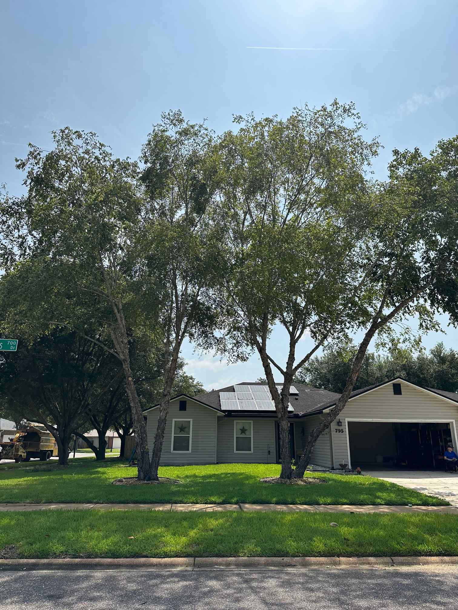 Tree Trimming - Forshees Tree Services